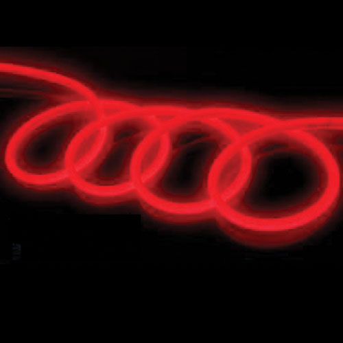 Neon Flex | González Transformación